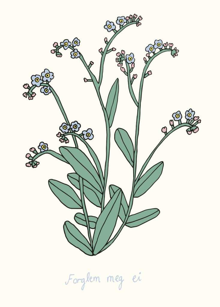 Forglem meg ei - Anette Moi